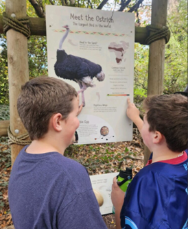 Felicia Kern is Shaping the Future of Online CTE with Field Trips ...